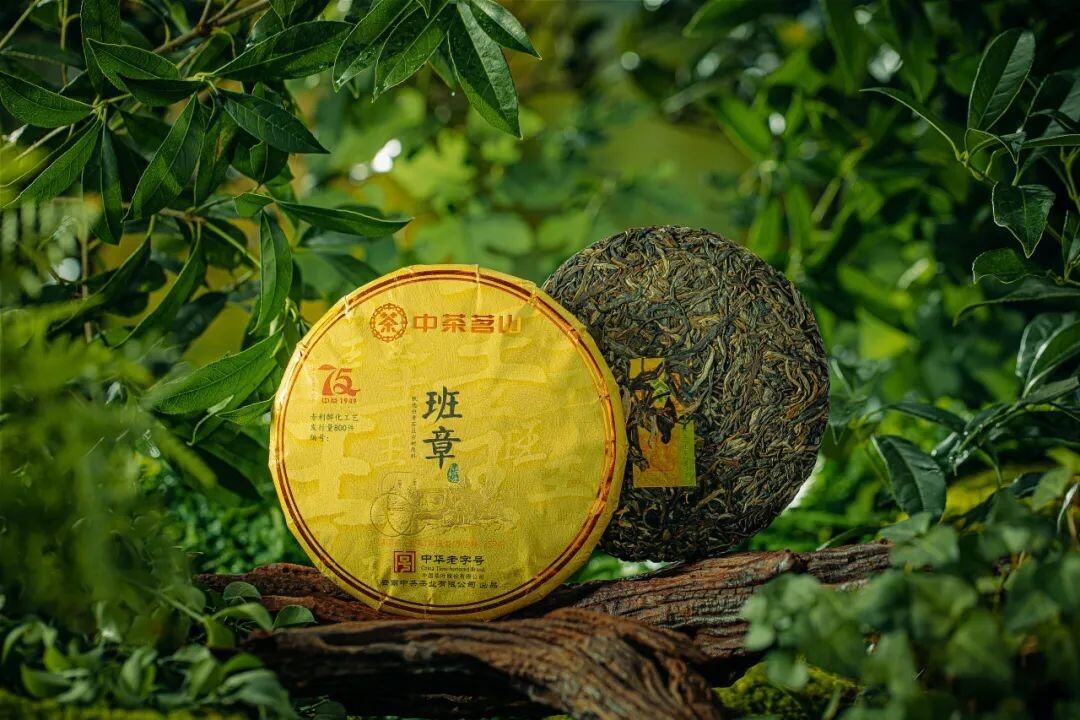 YN13 Banzhang Raw Puerh Tea Cake – Bold Flavor from Ancient Trees